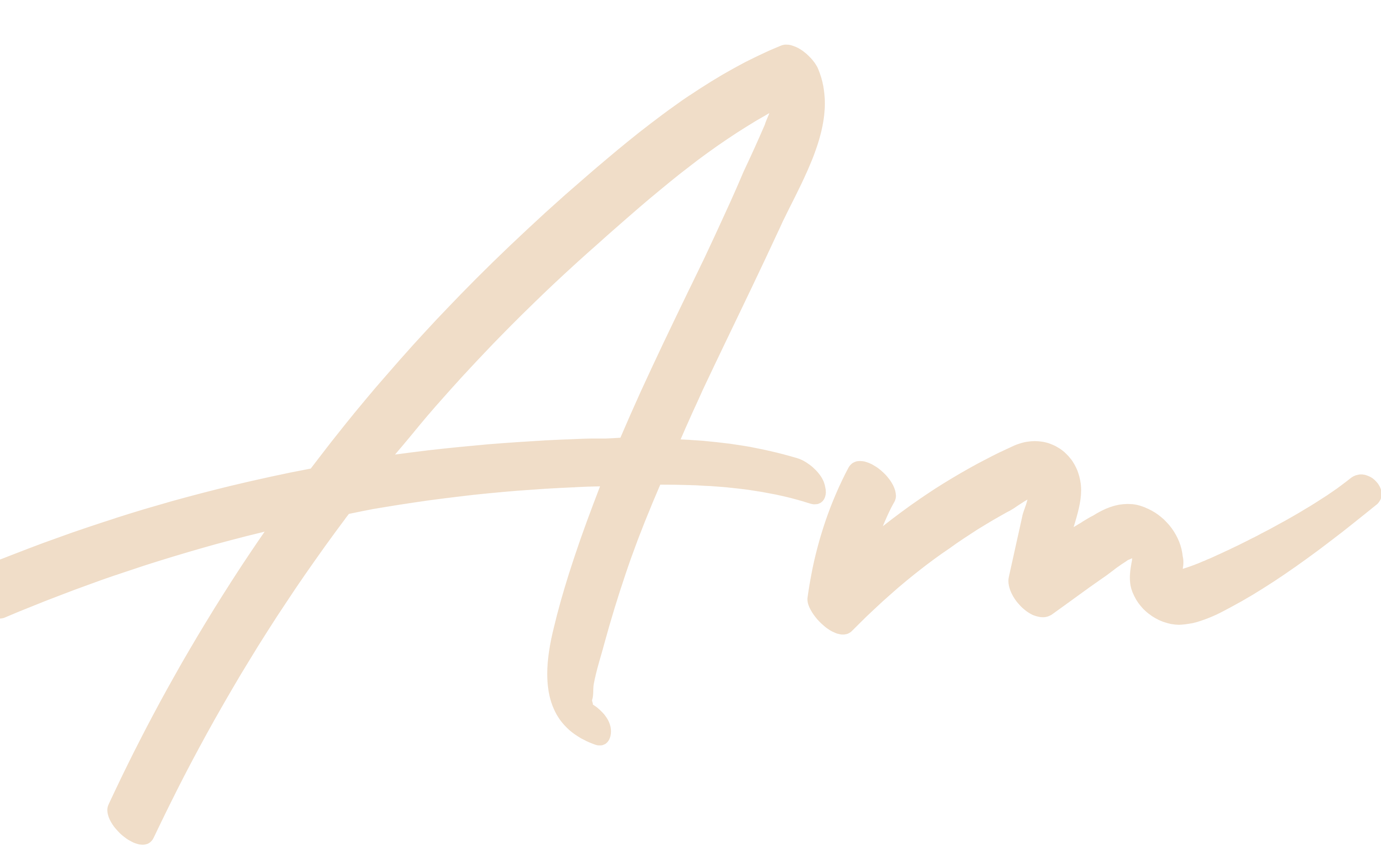 AMARY BEAUTY